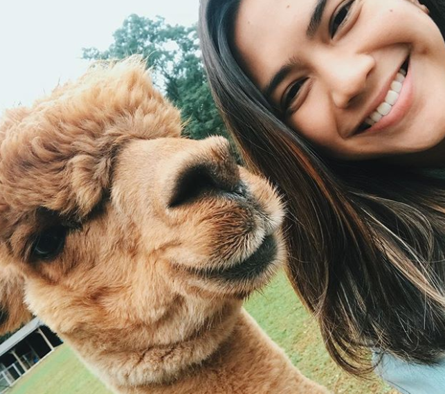 Danielle Addie's Instagram, Twitter & Facebook on IDCrawl