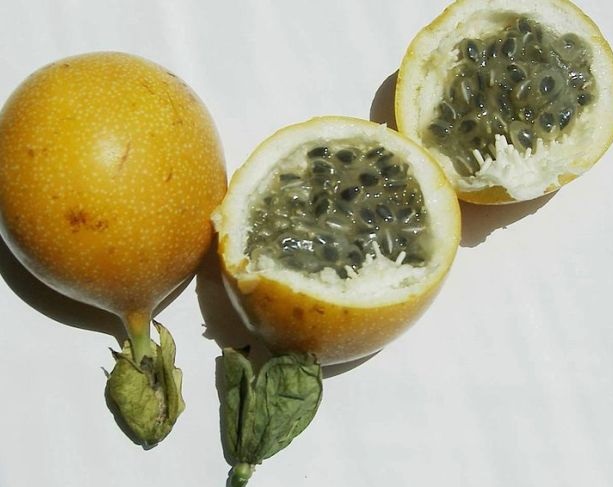 25 na Prutas na bihira lang makita at kokonti lang ang nakakaalam ...