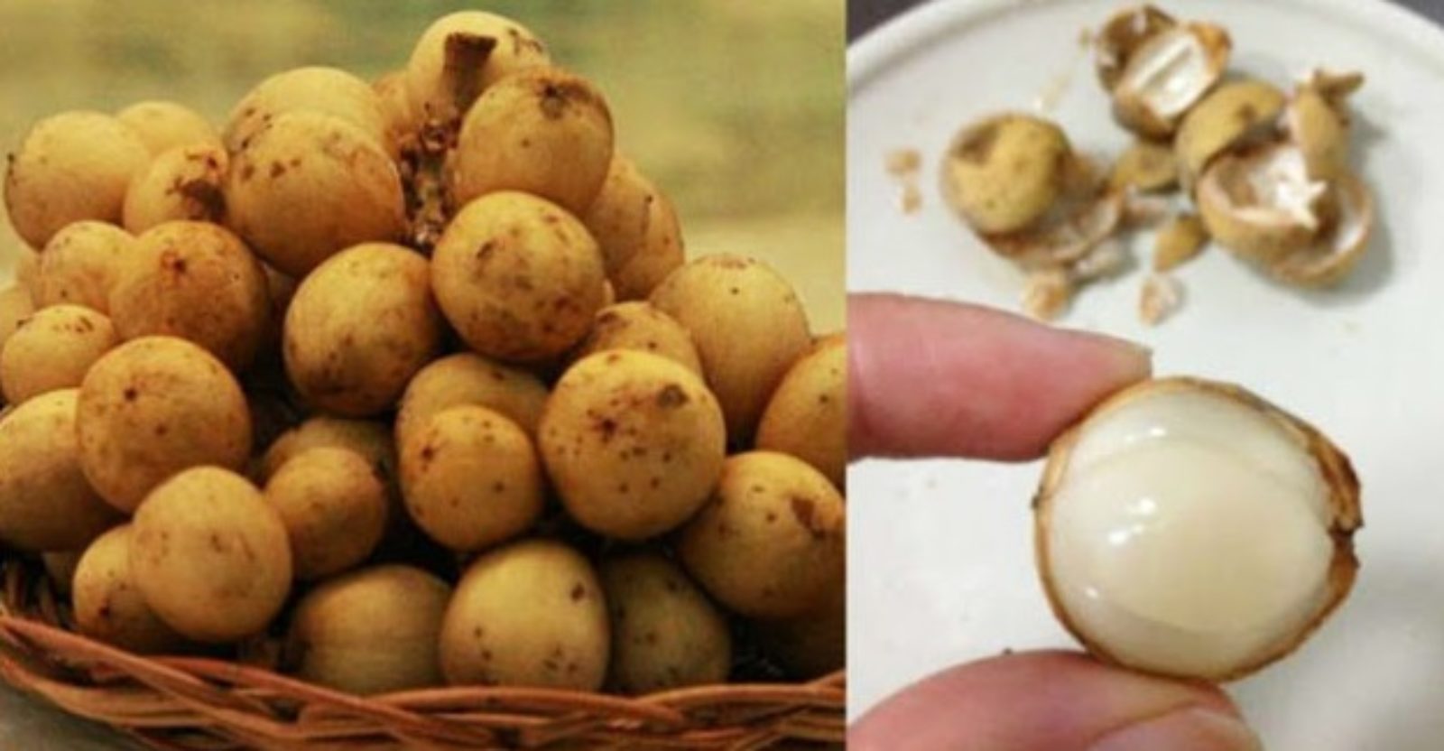 25 Na Prutas Na Bihira Lang Makita At Kokonti Lang Ang Nakakaalam Alamin Natin Kung Ano Ano Ang