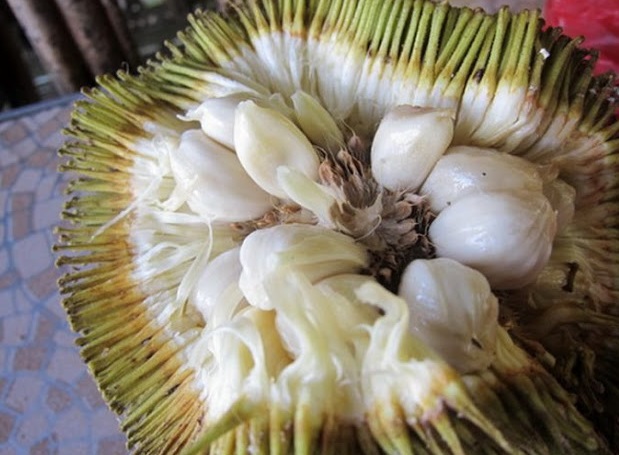 25 na Prutas na bihira lang makita at kokonti lang ang nakakaalam ...