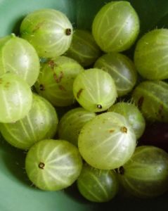 25 na Prutas na bihira lang makita at kokonti lang ang nakakaalam ...