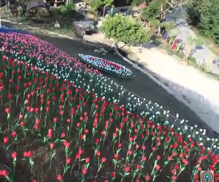 Makulay at maliwanag sa gabi! Ito ang 10,000 Tulips sa Layugan Garden ...
