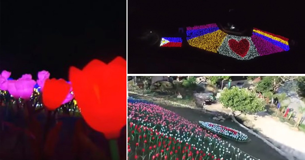 Makulay at maliwanag sa gabi! Ito ang 10,000 Tulips sa Layugan Garden ...