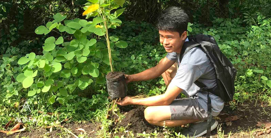 Pagtatanim Ng Puno Sa Isang Taon Pagtatanim Ng Puno Sa Isang Taon