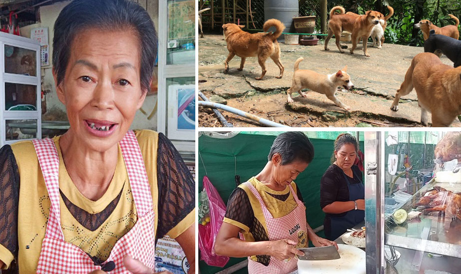 Matandang babae nagtatrabaho para sa kaniyang mga alagang aso at pusang ligaw na umabot na ng ...