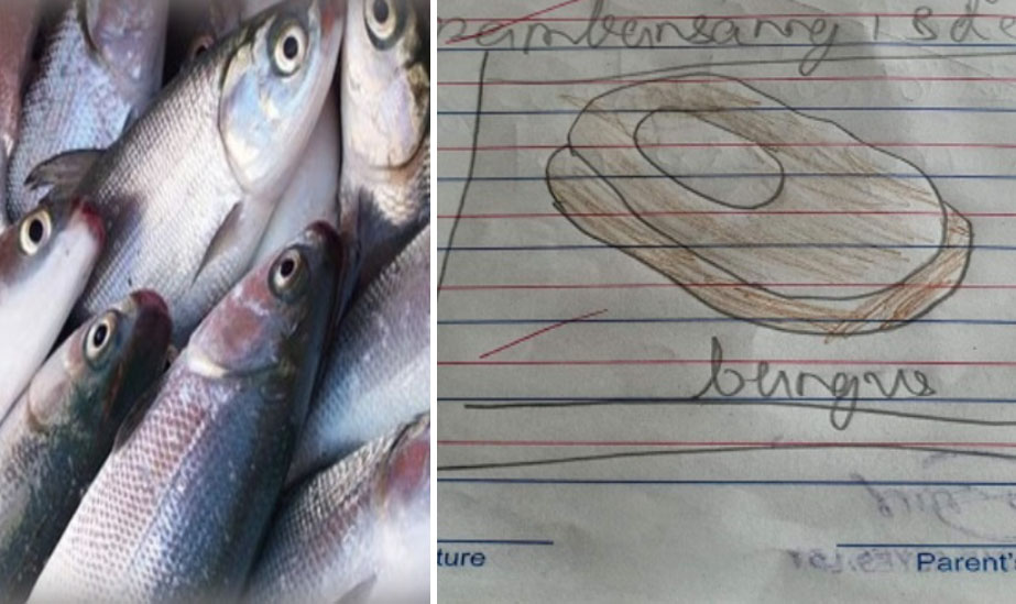 Guro nawindang sa pagguhit ng kaniyang estudyante sa pambansang isda ng ...