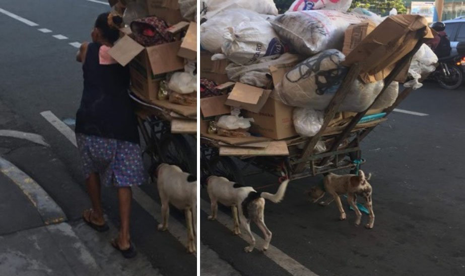 Isang matandang babae na nangongolekta ng mga basura, usap-usapan ng mga netizens dahil sa kasa ...