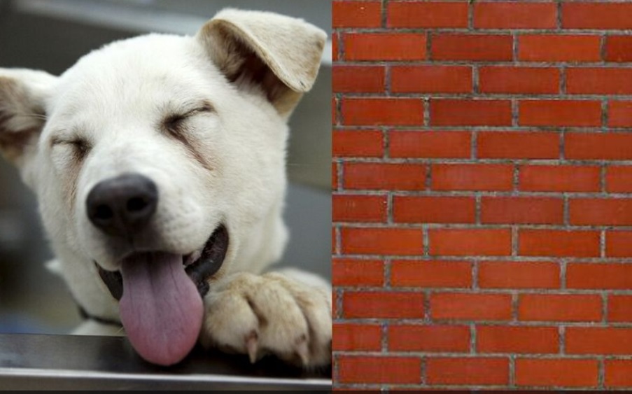 Mga Pilipinong mag-aaral nakagawa ng mga “bricks” sa pamamagitan ng ...