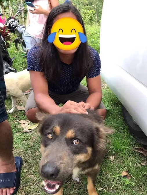 Matalinong aso iniligtas ang mga hikers na naligaw sa Miyaya Falls sa ... Matalinong aso iniligtas ang mga hikers na naligaw sa Miyaya Falls sa ...