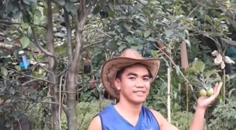 Kauna-unahang puno ng mansanas na itinamin at tumubo sa Pilipinas ...